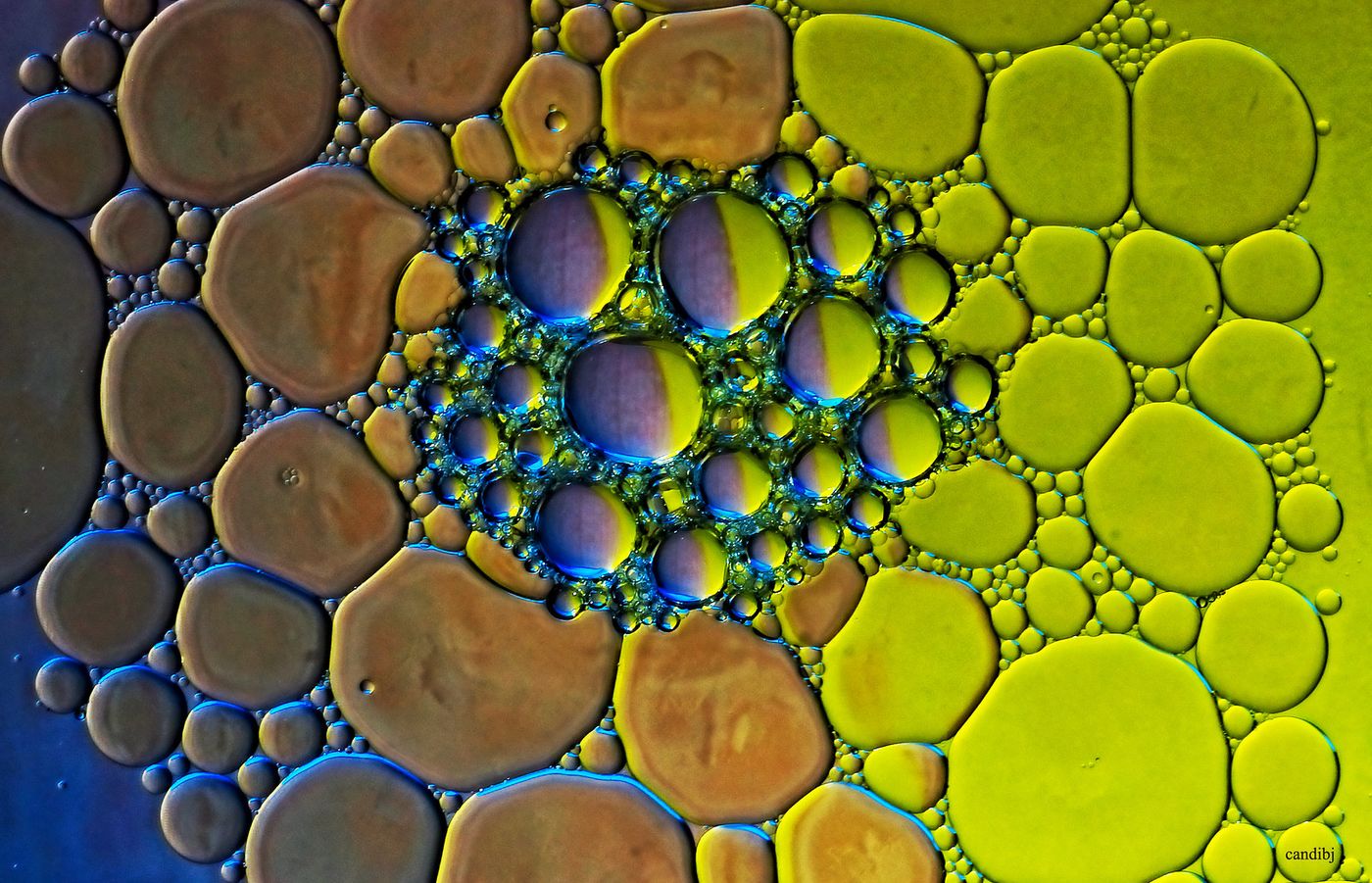 Edible Mixtures or Preparations Oils and Fats and Oils or Vegetable ...