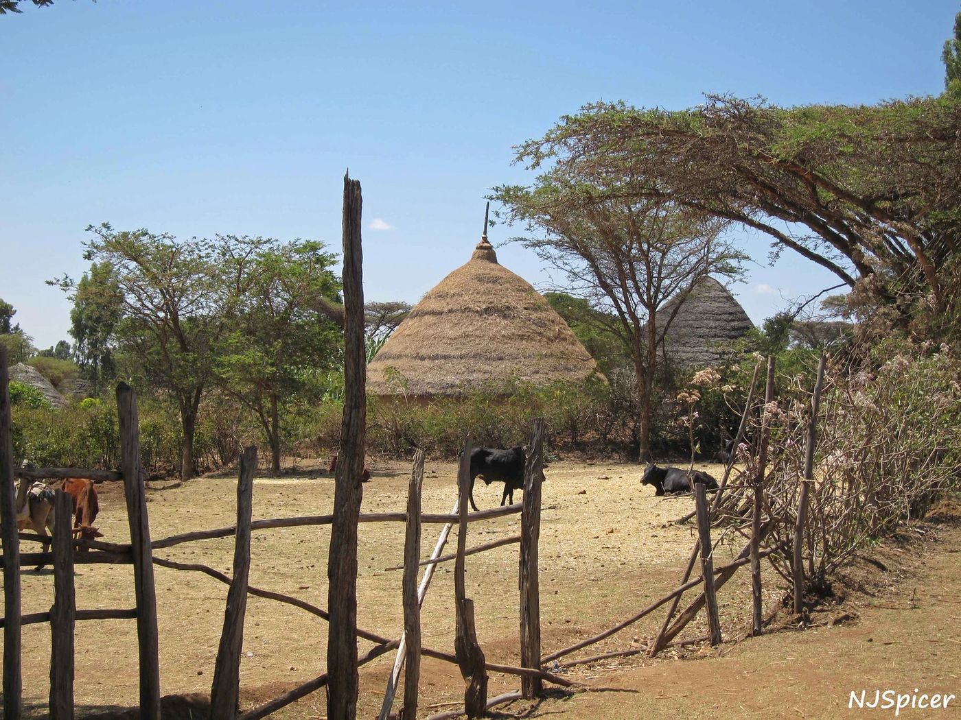 Etiopía: Comercio exterior, inversión, remesas y migración | Data México